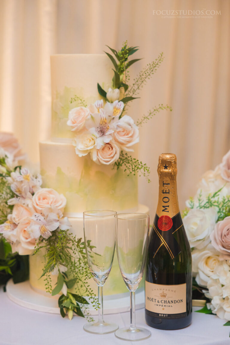 Wedding Reception Party Photography - Focuz Studios™